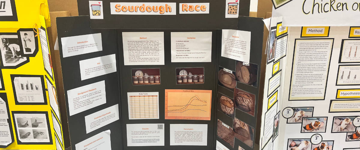 Science Fair Far North
